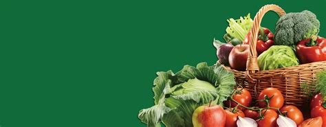 Шанд дов Тавтай морил