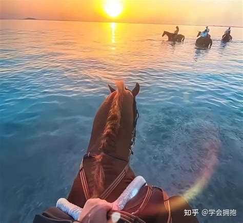 人生逐梦正当时💪 知乎