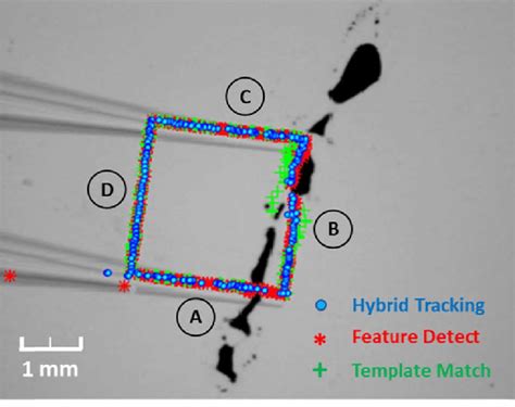 Tracking Linear Paths Abcd With Regional Occlusion Template Match Download Scientific