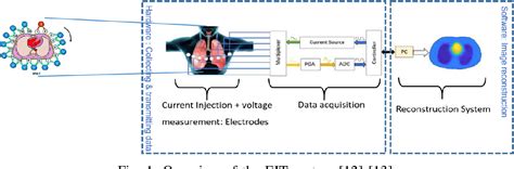 figure 1 from improved particle swarm optimization algorithm for eit image reconstruction