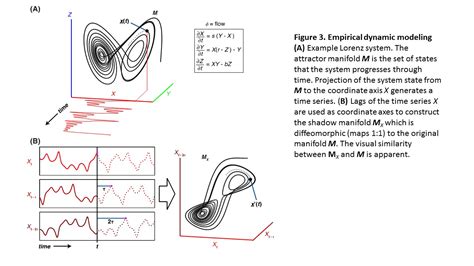Empirical Dynamic Modeling Deep Eco