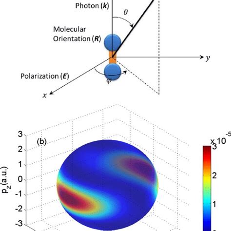 A The Expectation Value Of The Longitudinal Momentum Distribution As