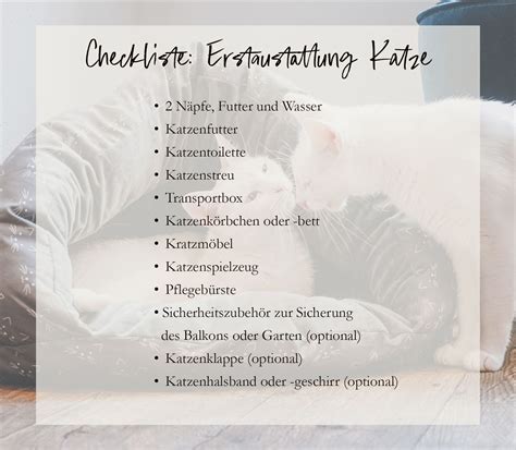 Kitten Checklist Artofit