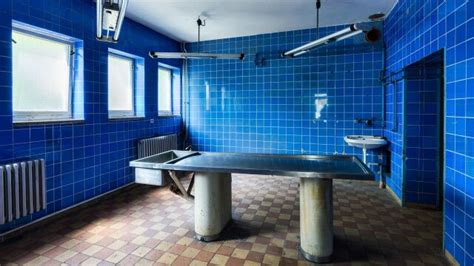 Watch Autopsy Sex Lies And Murder Online Stream On Directv