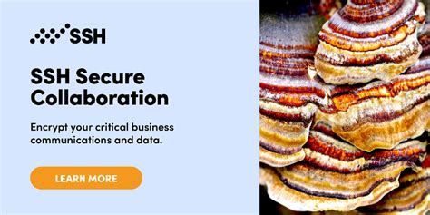 What Is File Encryption