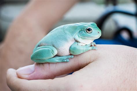 My Good Friend Chubby R Aww