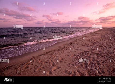 Early Morning On The Beach Pink Purple Sunrise Over The Sea Pastel