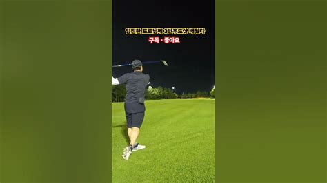 이것이 임진한 프로님께 배운 3번우드샷 이다1탄 Shorts Golf 우드샷 3번우드 임진한 인생샷2 Golfswing 골프스윙 손맛 전한길