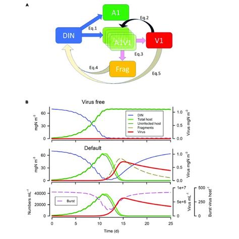 Model Schematic And Example Default Simulations Panel A Shows