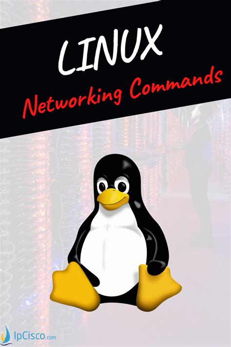 Network Commands In Linux Artofit