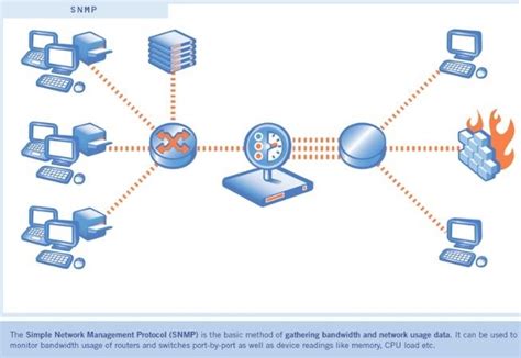 Berricle Rings Ping Monitoring Tool