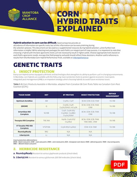 Corn Hybrid Traits Explained Manitoba Crop Alliance