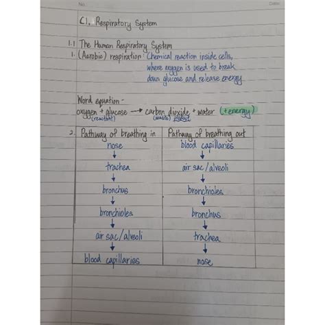 Cambridge Lower Secondary Igcse Notes Unit 1 6 Biology Chemistry And Physics 🧪 Rm7 Per Unit