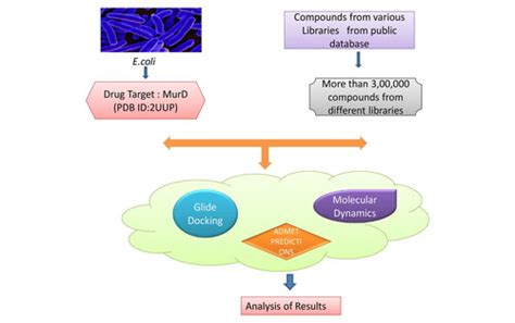 Journal Of Biomolecular Structure And Dynamics Vol 43 No 7 Current Issue