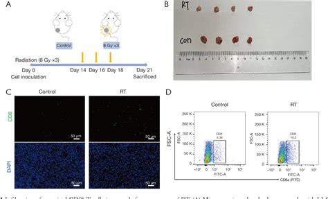 Figure 1 From Targeting Complement C5a To Improve Radiotherapy Sensitivity In Non Small Cell