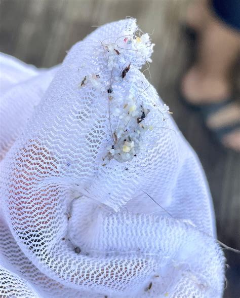 Small White Particles In Pool R Swimmingpools