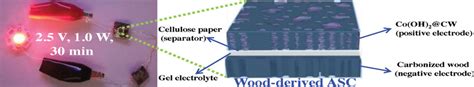 Wood‐derived Hierarchically Porous Electrodes For High‐performance All