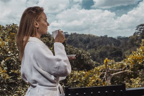 ACCOMMODATION Tree Of Life Nature Res