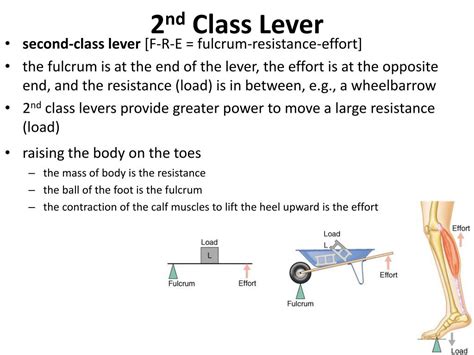 PPT LEVERS PowerPoint Presentation Free Download ID