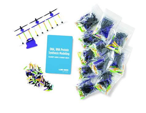 Buy Rna Protein Synthesis Modeling Kit 72 Demystify The Rna