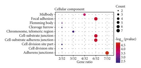Functional Annotation And Pathway Enrichment Analysis Of The Target Download Scientific Diagram