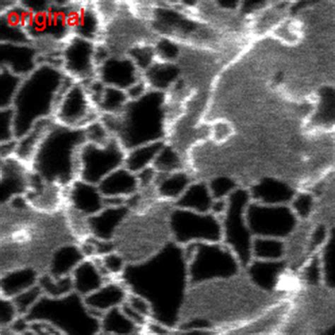 Anisotropic Diffusion 2D