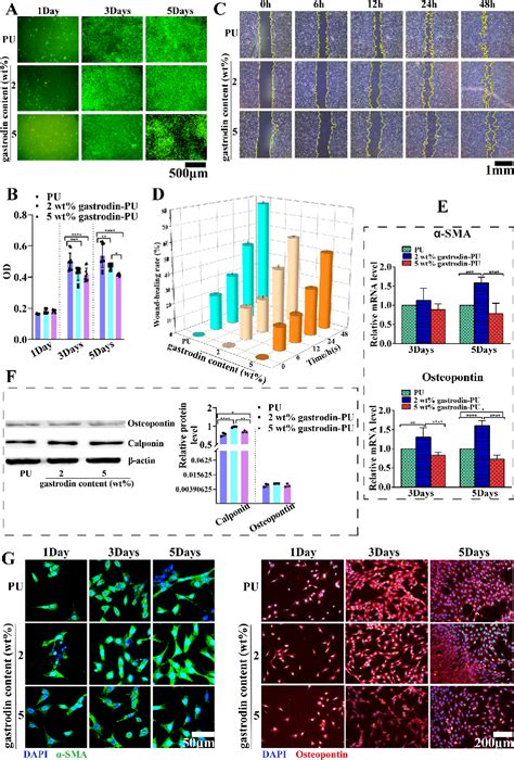 Figure 2 From A Biomimetic Tri Phasic Scaffold With Spatiotemporal