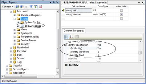 Entity Framework Usando Transa Es