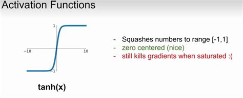 训练神经网络上激活函数leakyrelu减少前向传播的变化和信息量 Csdn博客