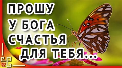 Прошу у Бога счастья для тебя Красивые стихи о жизни для друзей Youtube