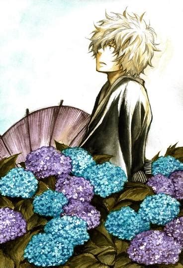 紫陽花銀魂 KURO