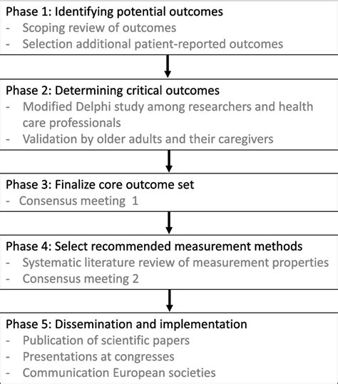 Overview Of The Project Phases Download Scientific Diagram