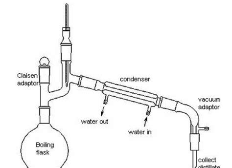 Yeast Fermentation Diagram