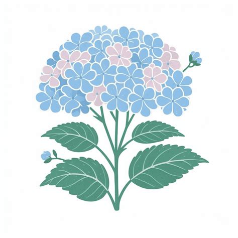 Hydrangea Clipart Download Free Clipartworld