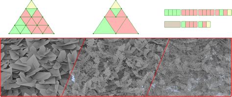 Succinct Opacity Micromaps Gustaf Waldemarson