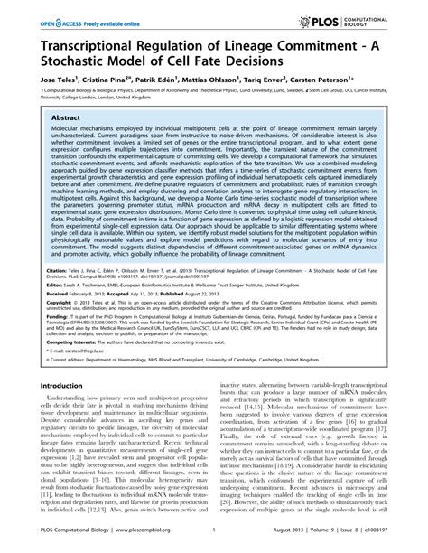 Pdf Transcriptional Regulation Of Lineage Commitment A Stochastic