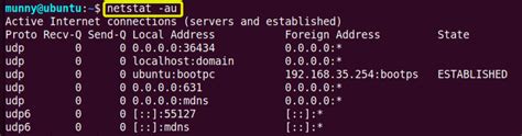 The Netstat Command In Linux Practical Examples