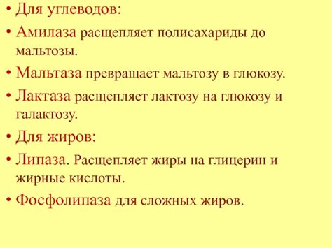 Анатомия и физиология пищеварительной системы