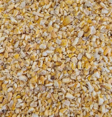 Maize Corn Germ Packaging Type Pp Bag 50 Kg At ₹ 28 50 Kg In Vadodara Id 2850029252733