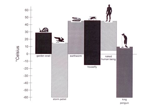 Memorandum Temperatures By Openstax Jobilize