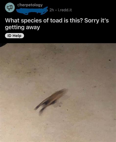 Identification Rule R19684