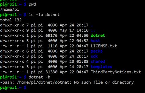 Raspbian ARM 64 Dotnet Dotnet No Such File Or Directory Issue
