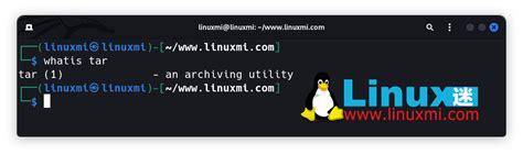Linux 神秘对决：which Vs Whereis Vs Whatis Linux迷