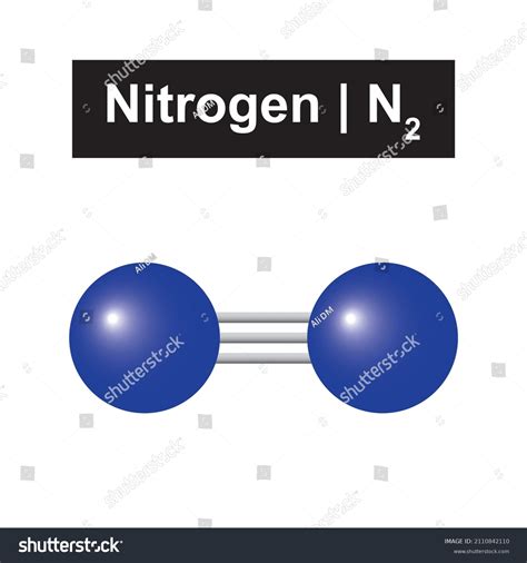 질소 N2 분자의 분자 모델 벡터 스톡 벡터로열티 프리 2110842110 Shutterstock