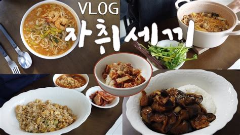 요리vlog 자취생 브이로그 배달음식 안시키는 자취생의 자취요리 요리 브이로그 마라탕장칼국수가지덮밥계란볶음밥김치비빔국수 해먹기🍜 Youtube