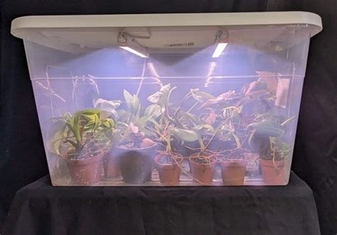 15 DIY Plant Propagator Ideas To Grow Seeds And Cuttings