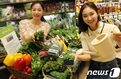 전호제의 먹거리 이야기 바질 꽃이 보여준 작은 희망 뉴스1