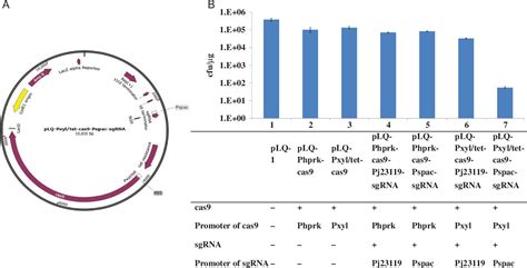Figure 1 From Crisprcas9 Based Efficient Genome Editing In Staphylococcus Aureus Semantic Scholar