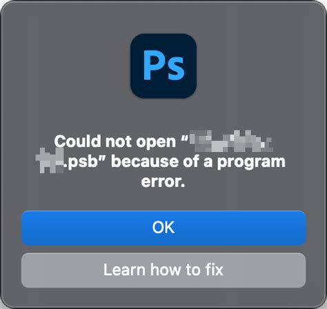 could not open because of a program error adobe community 14614698