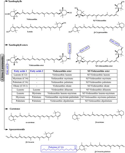 The Major Carotenoids And Apocarotenoids Of Citrus Fruits Download Scientific Diagram